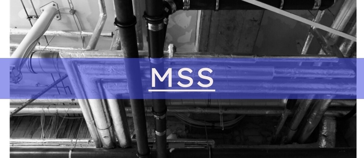 会社概要 - MSS(東京都小金井市) | ツクリンク